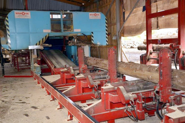 Timber processing plant in Mukachevo InVenture