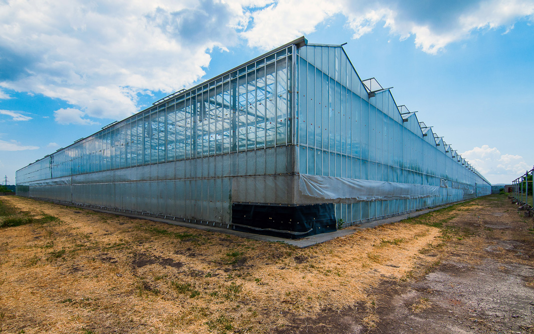 The existing agricultural complex in Kherson InVenture