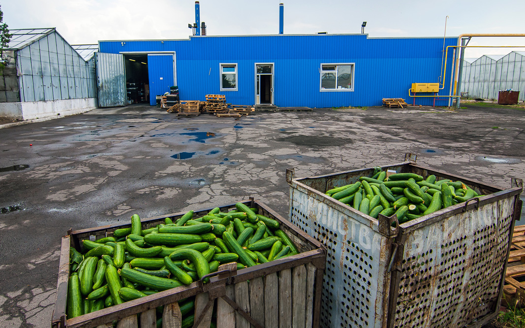 The existing agricultural complex in Kherson InVenture
