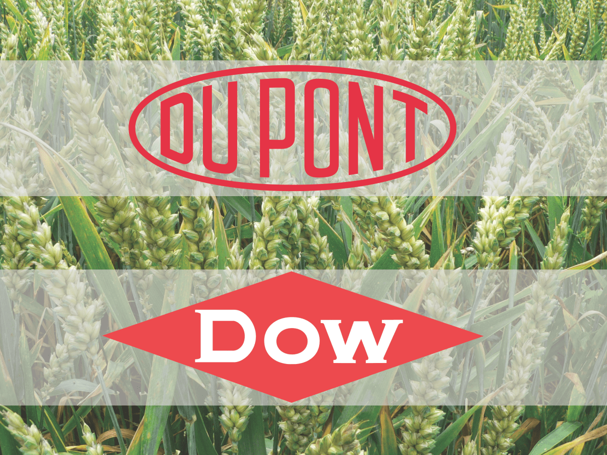 Химический гигант DowDuPont разделится на три компании InVenture